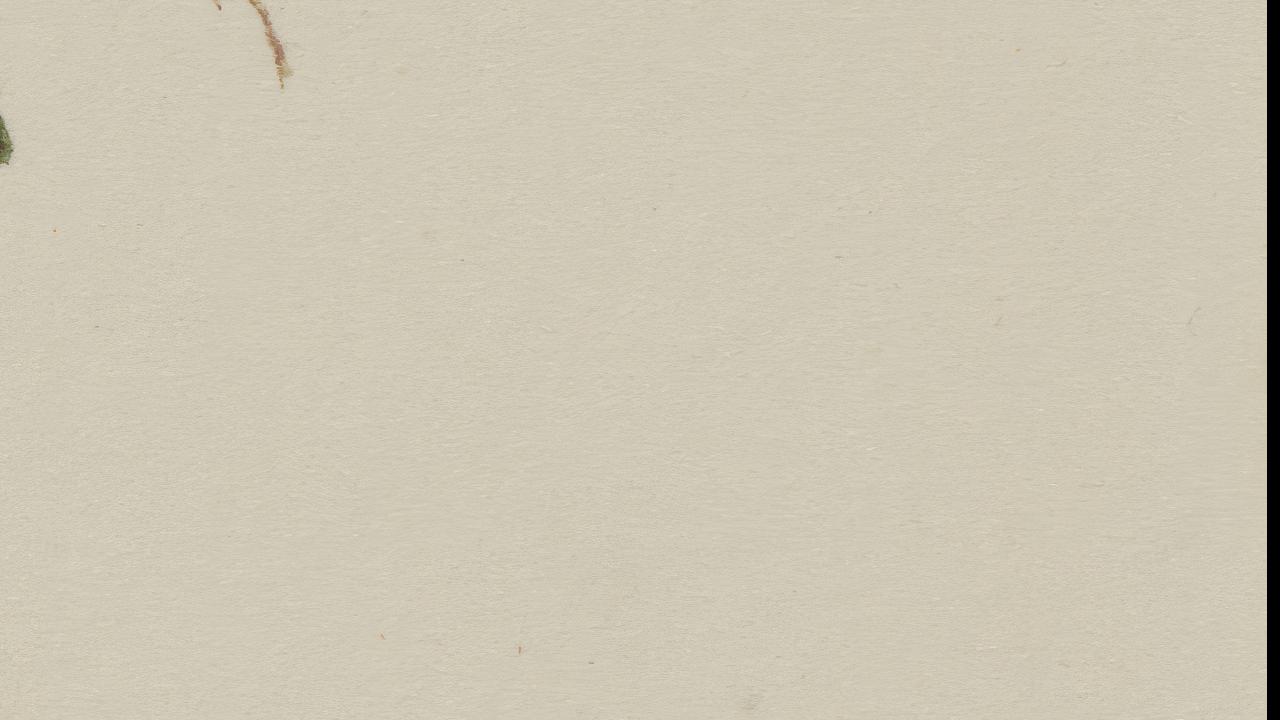 Yellow Dryad Dryas drummondii by Mary Vaux Walcott