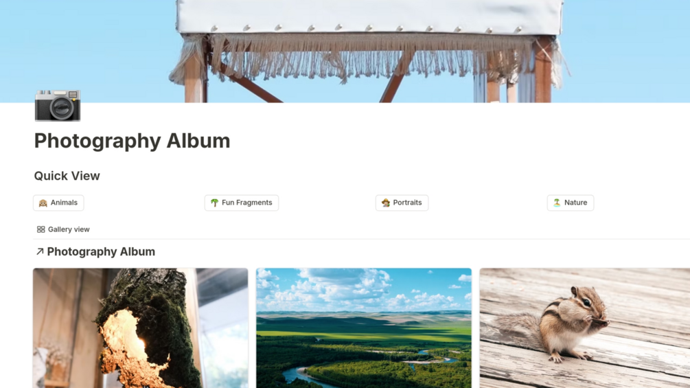 Notion Photography Album