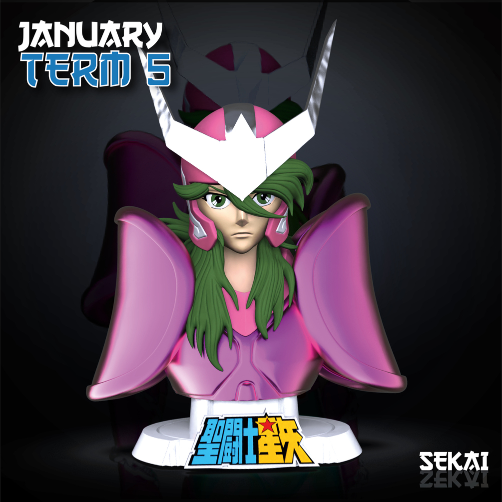 Shun Bust - Sekai 3D Models - Tested and Ready for 3D printing