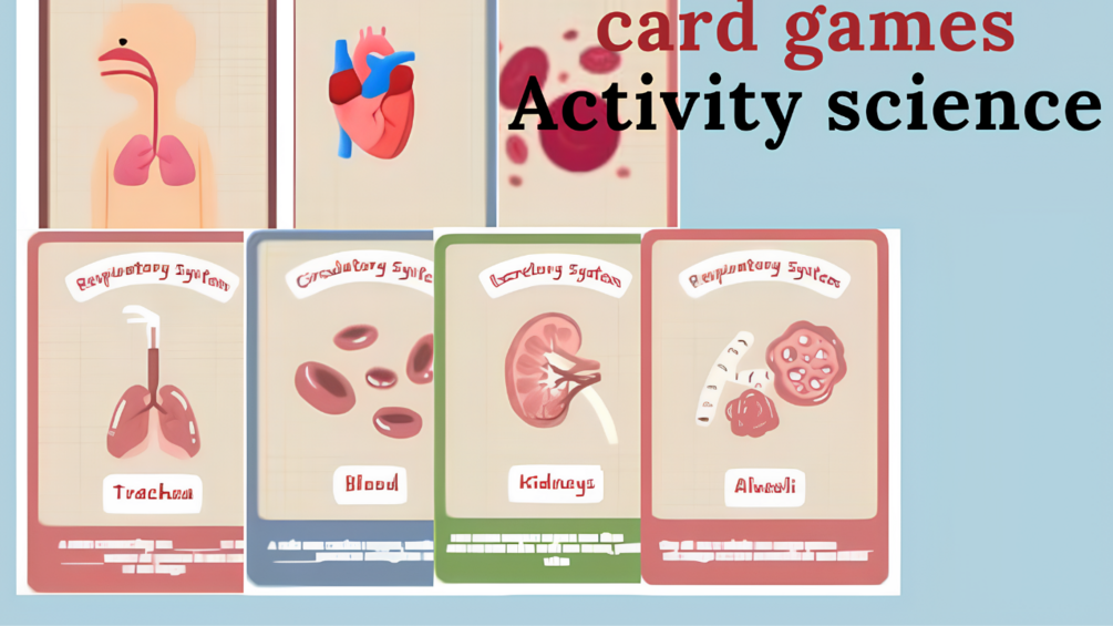 Organ System Card Gam Activity Science Flashcard in Pink Red ...
