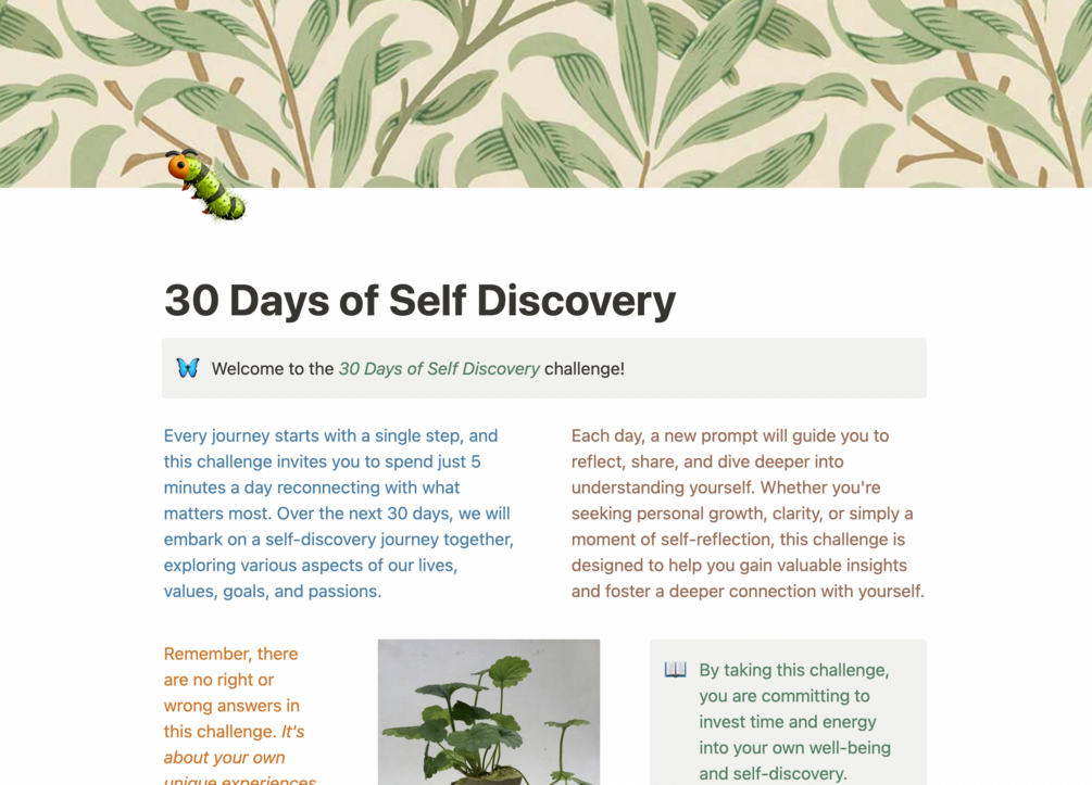30 Days of Self Discovery