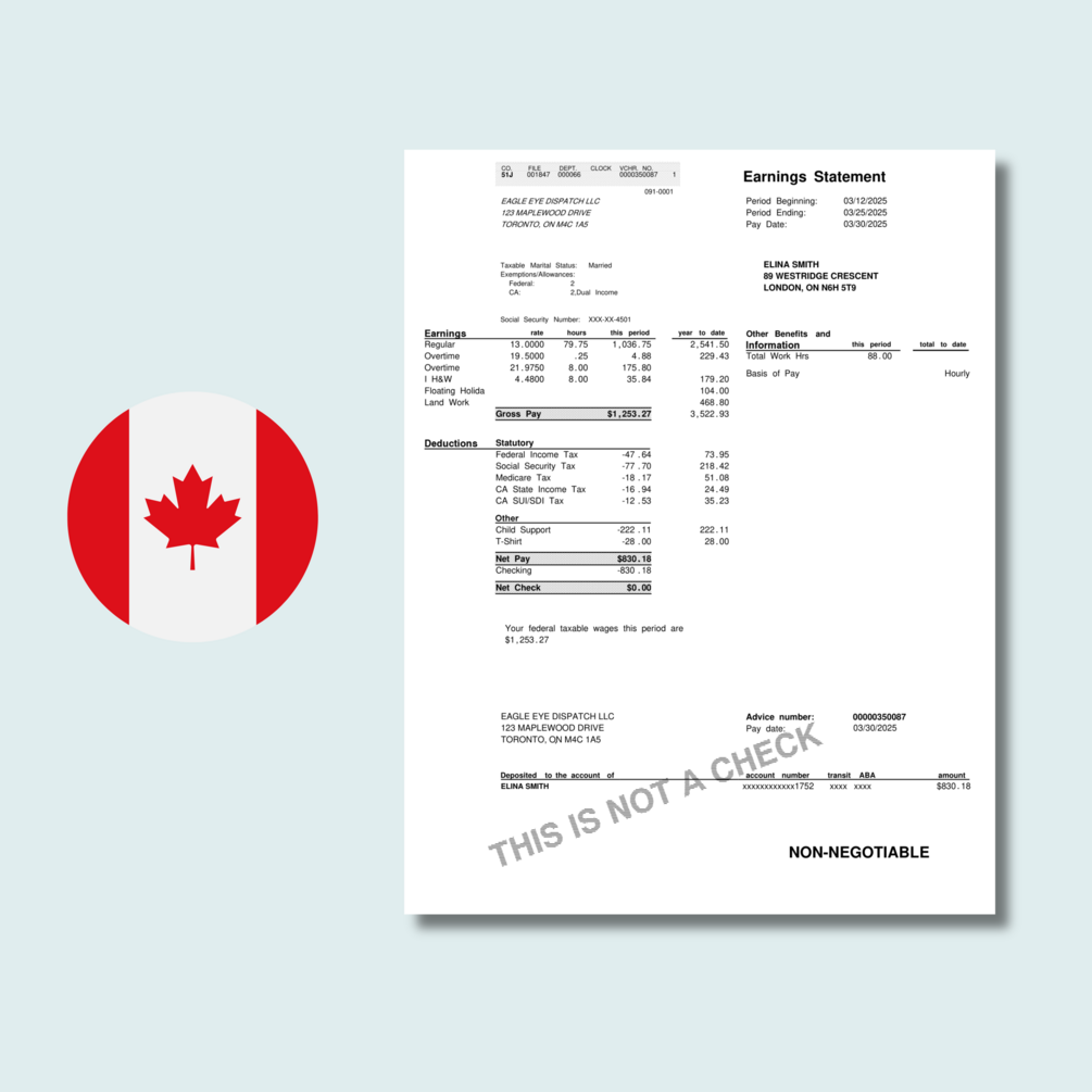 Canada ADP Style Check Stub Template | Paycheck Stub Editable PDF ...