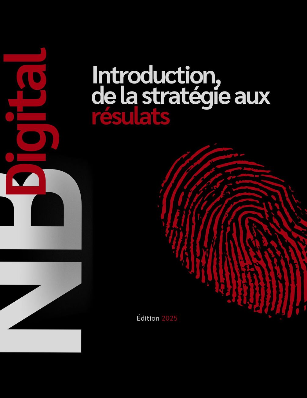 NB Digital Introduction, de la stratégie aux résultats