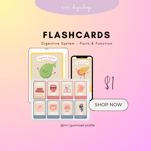 Digestive System Flashcards for Kids – Curriculum-Based & Classroom Ready