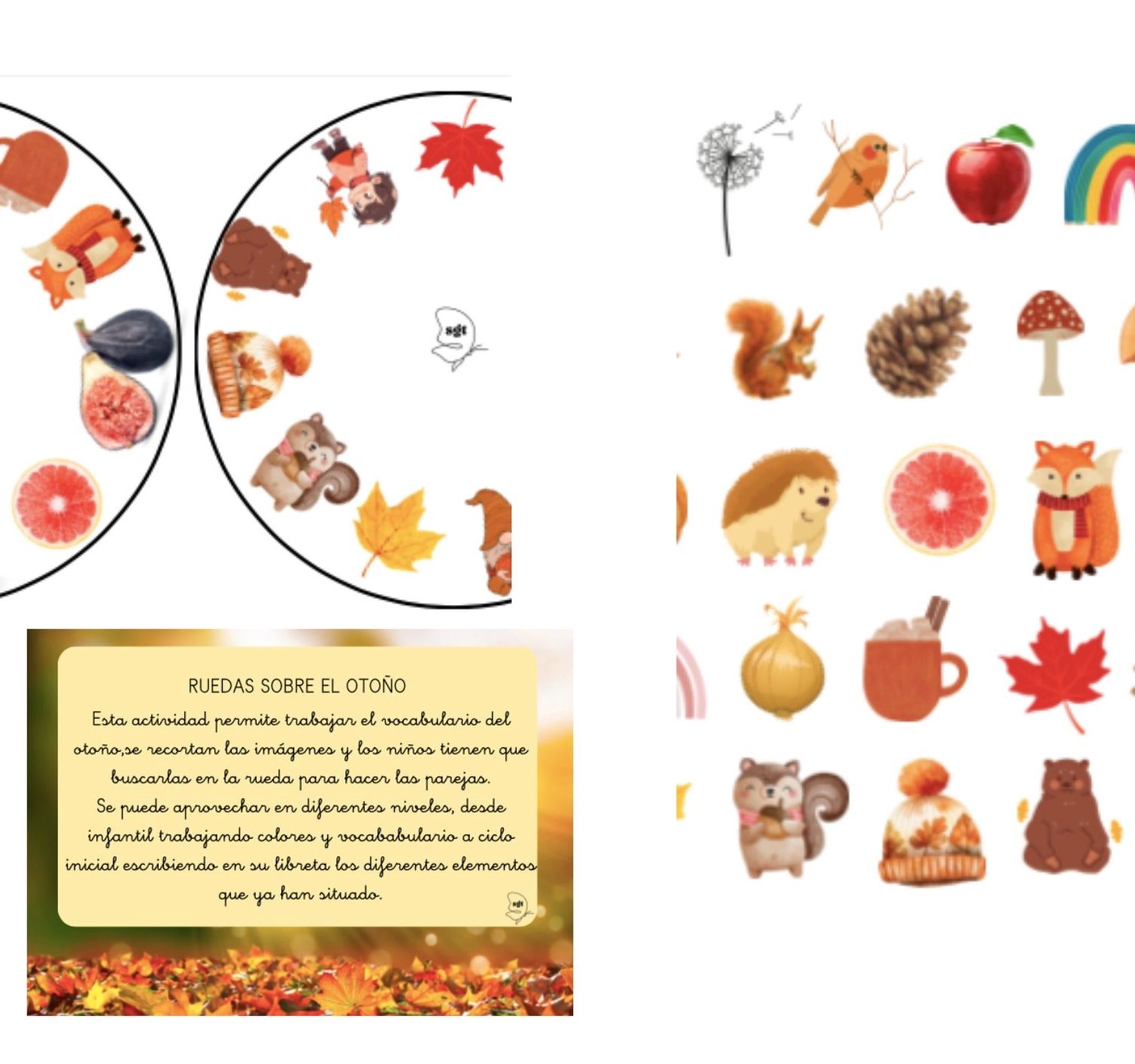 Ruedas del otoño (vocabulario)