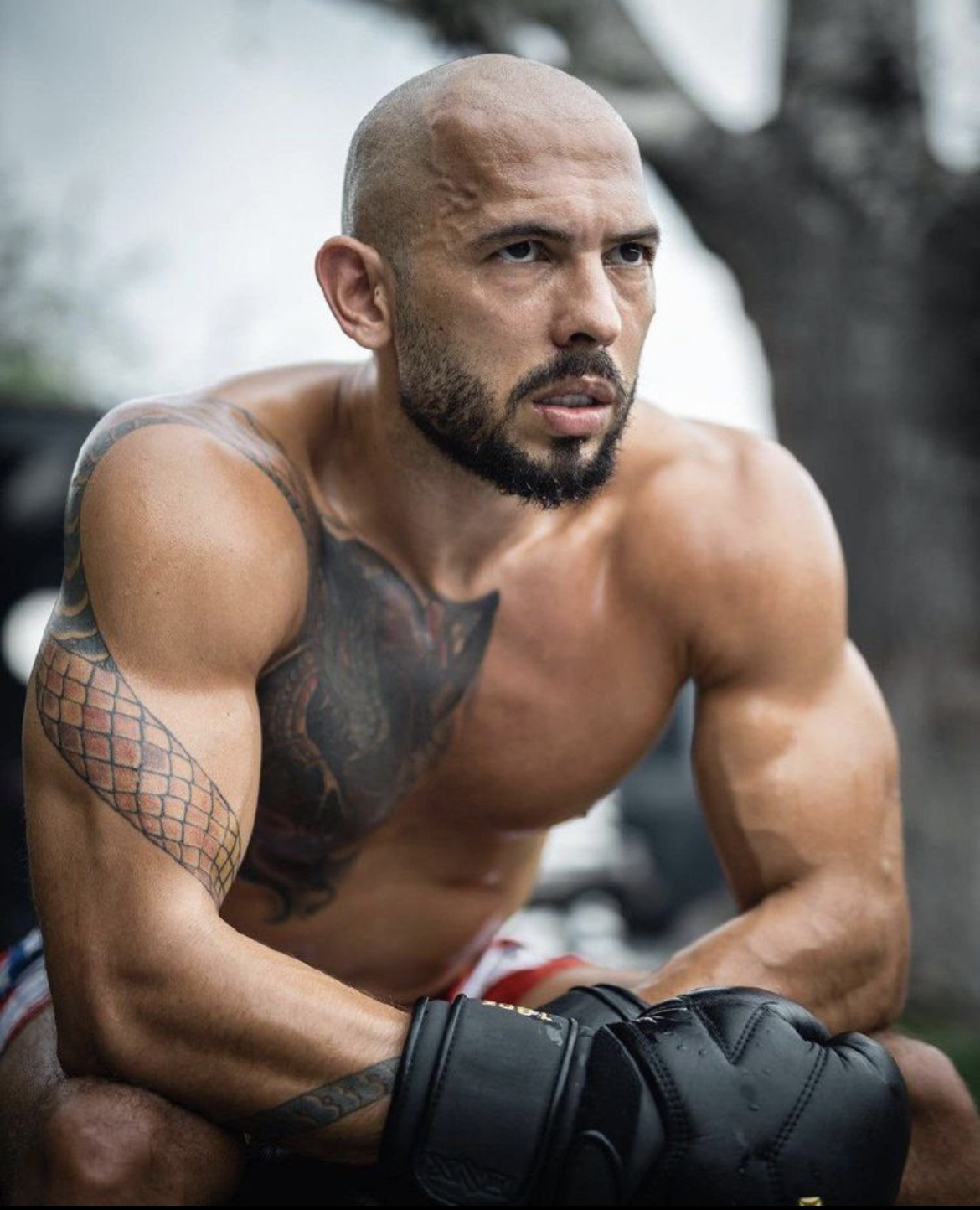 Andrew Tate Fitness University 2.0