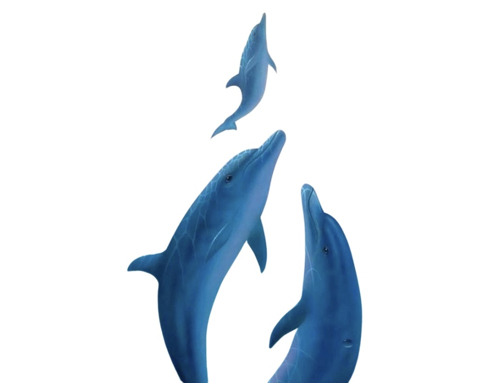 Cosmic Codes: Astrology Session 1:1