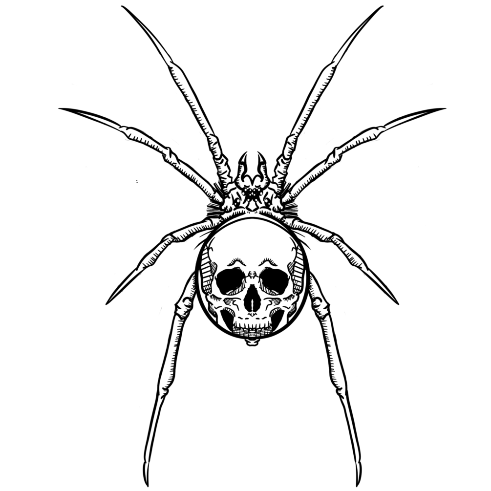Death Skull Spider