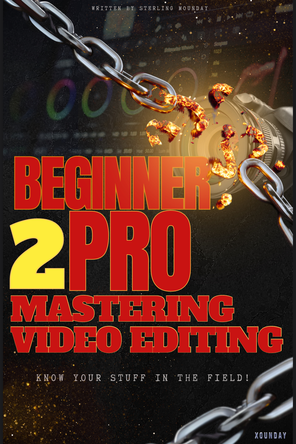 BEGINNER 2 PRO : MASTERING VIDEO EDITING