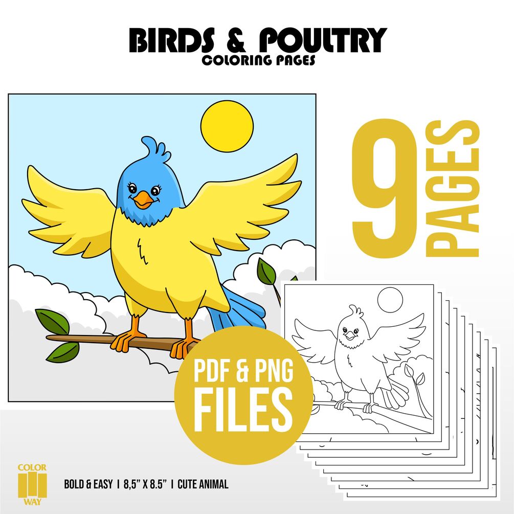 Birds coloring pages