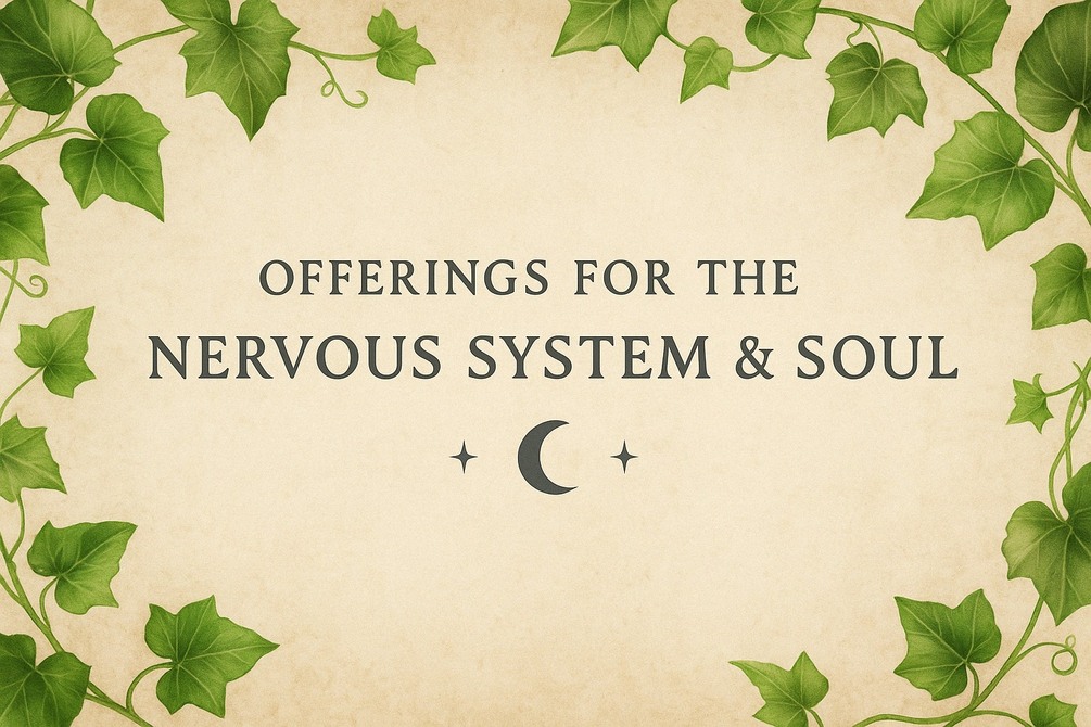 the Nervous system oracle: A self guided tarot journey