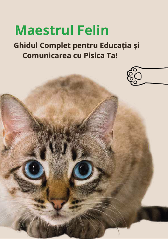 Complete Guide: Caring for Your Cat (Interactive PDF)