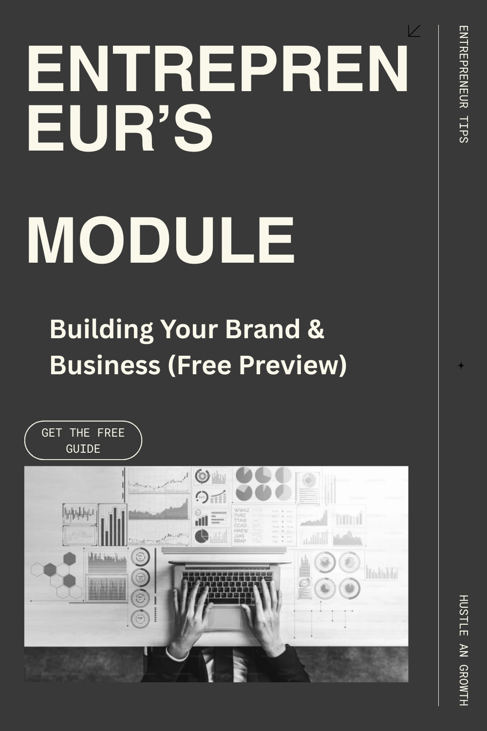Entrepreneur's Module (FREE PREVIEW)