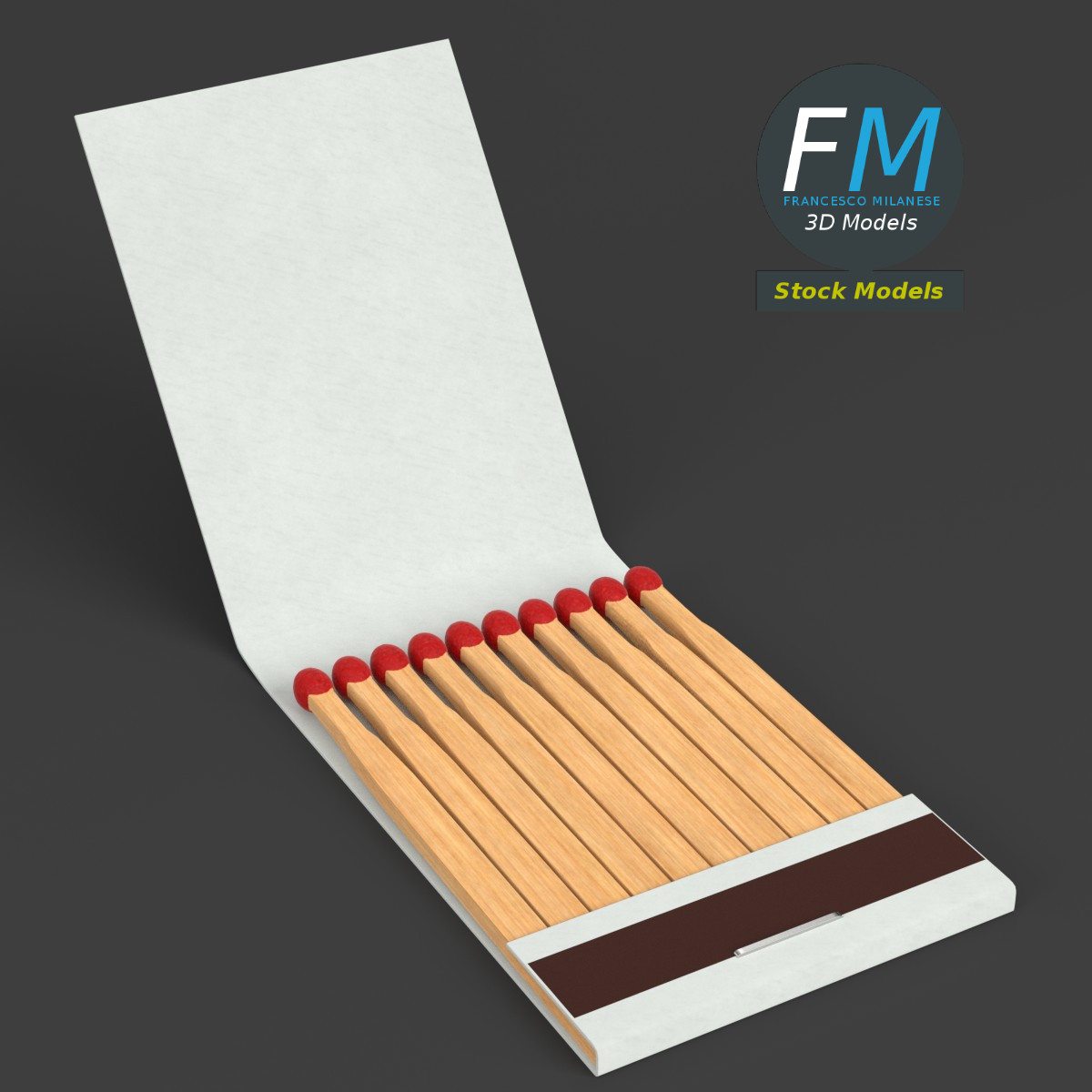 3D MODEL - Book of matches