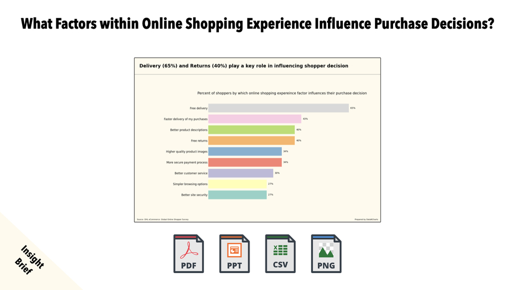 Insight Brief : What Factors within Online Shopping Experience ...