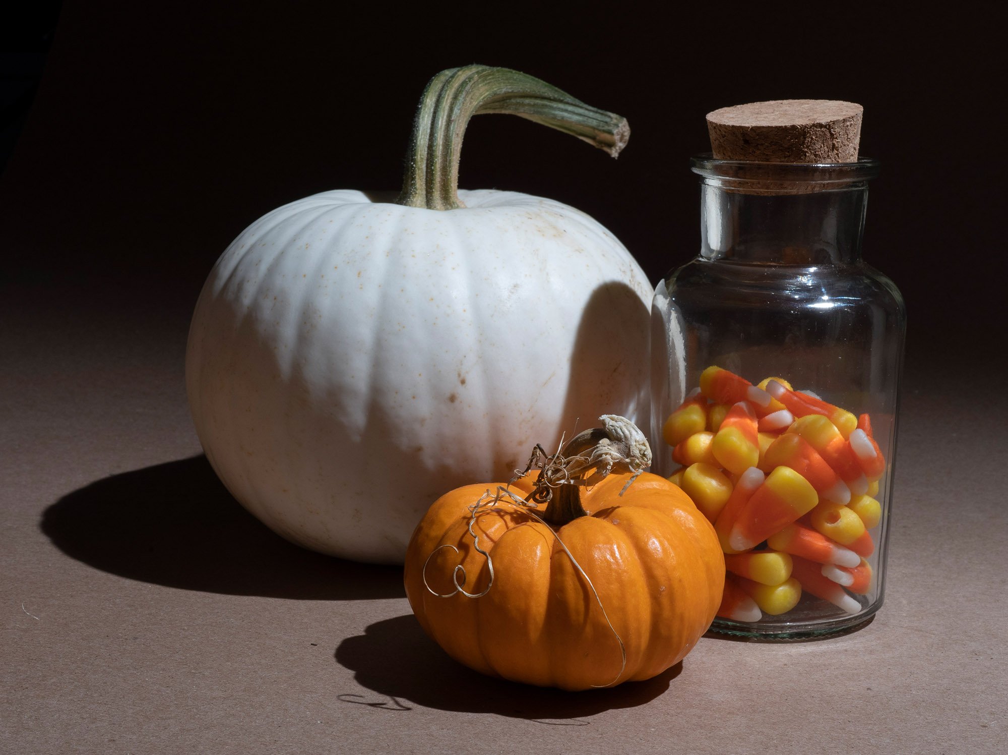 Reference Pack : Autumn Theme Still Life