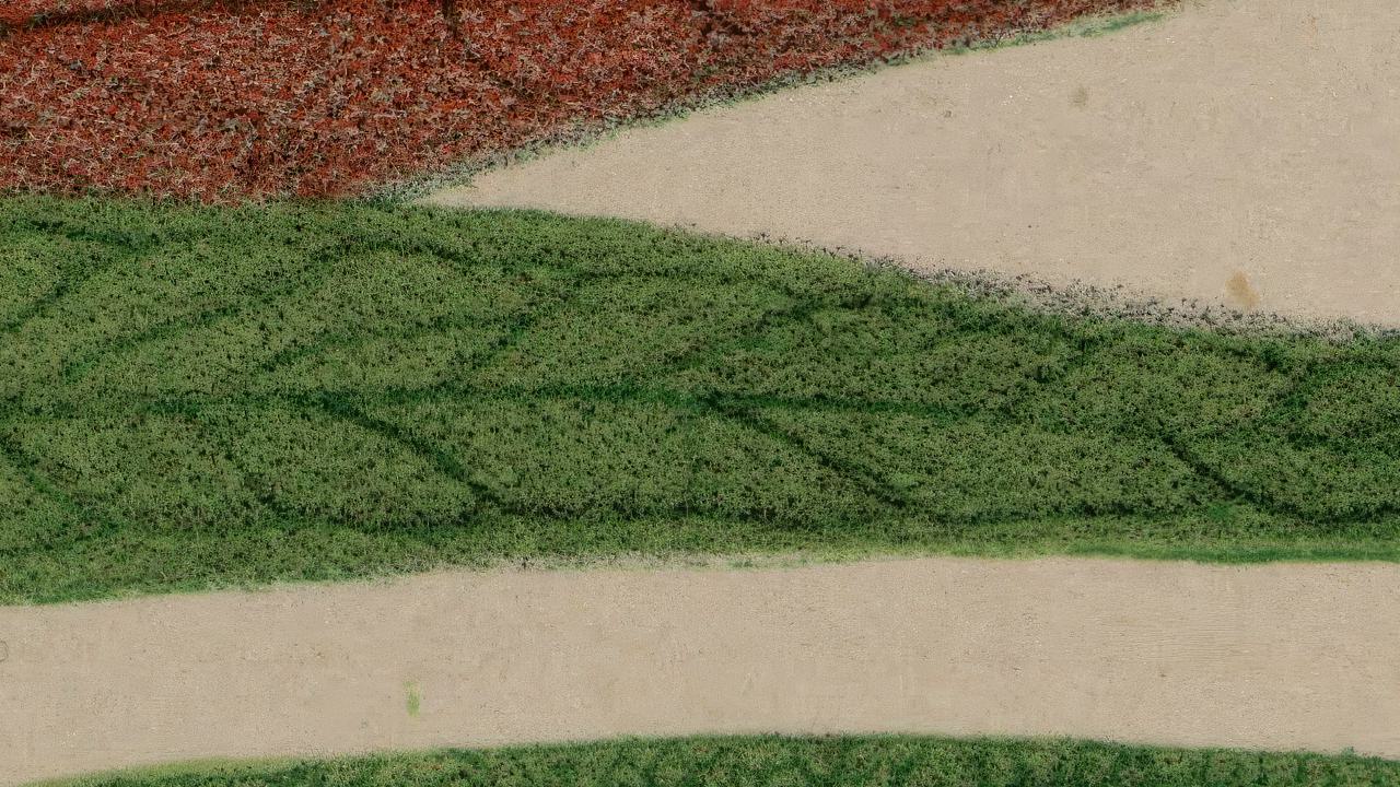 Red shouldered stick insect, Tropidoderus rhodomus by Arthur Bartholomew