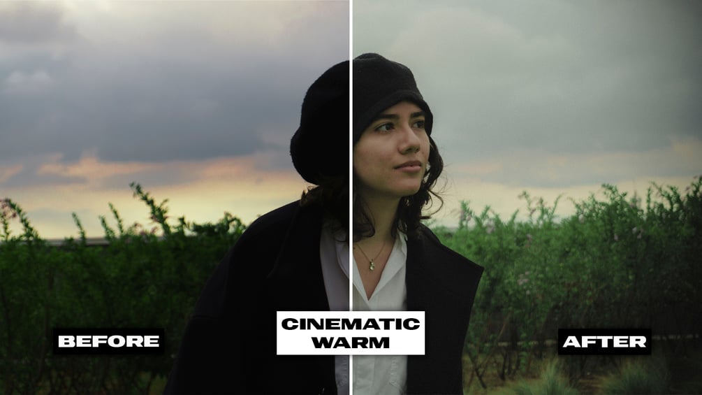 // Cinematic Preset Pack V1