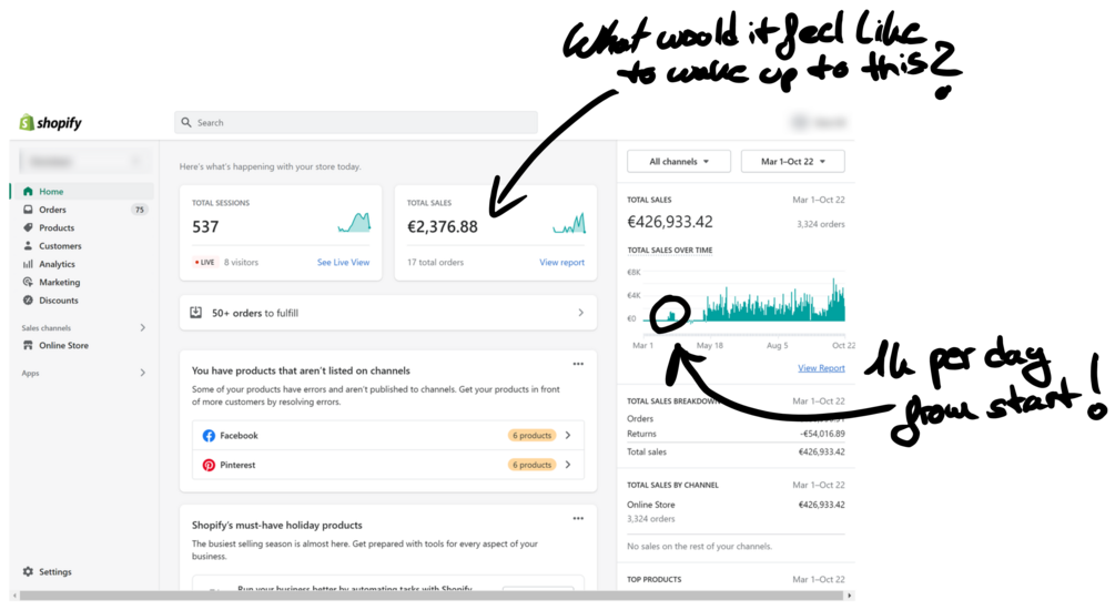 The Foolproof System To Run A Dropshipping Store That Generates $1000 ...