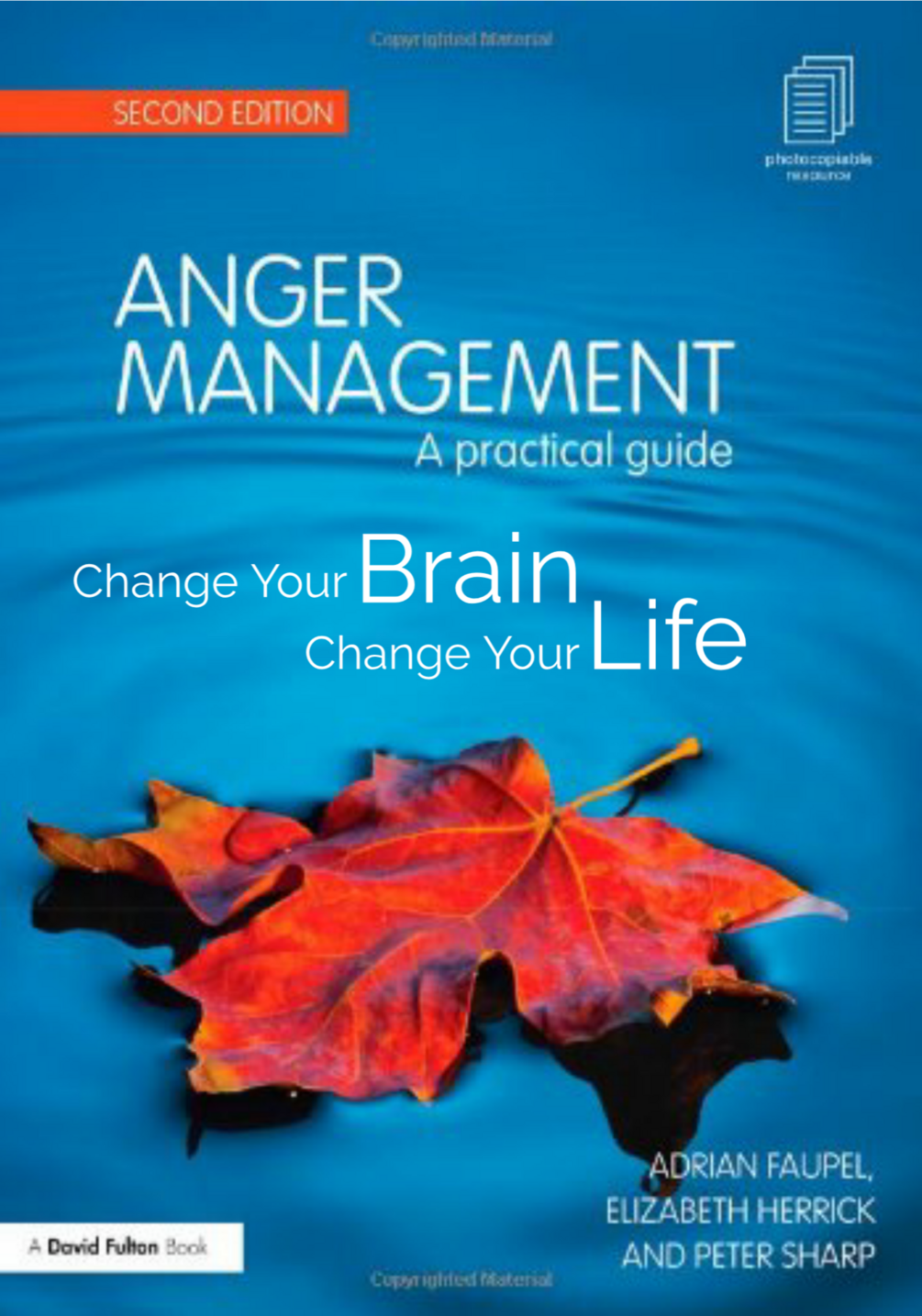 Anger Management A Practical Guide by Adrian Faupel