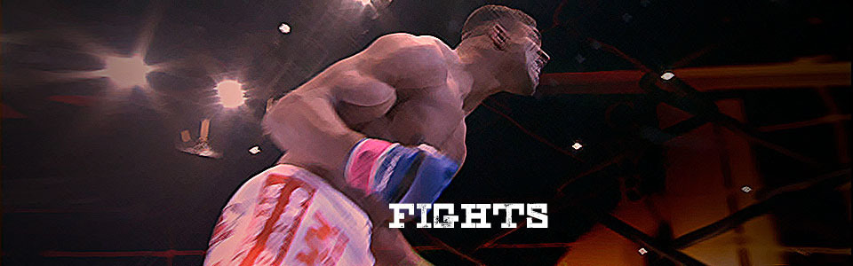 Roy Nelson vs. Brad Imes