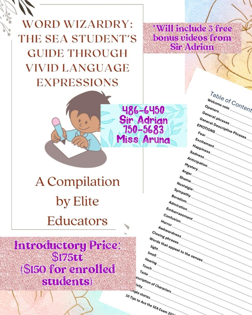 Word Wizardry: The SEA Student's Guide Through Vivid Language ...