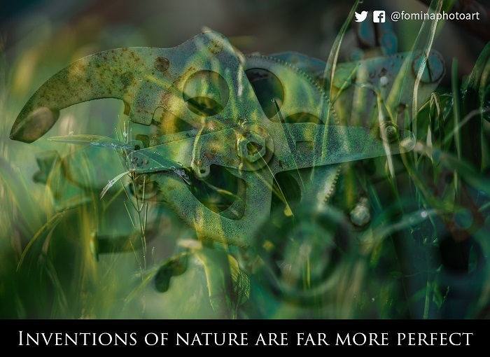 Inventions of nature are far more perfect