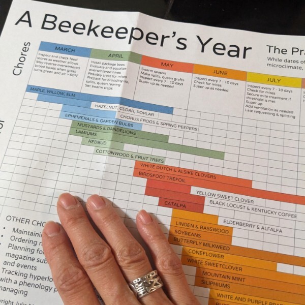 Phenology Calendar for Beekeepers