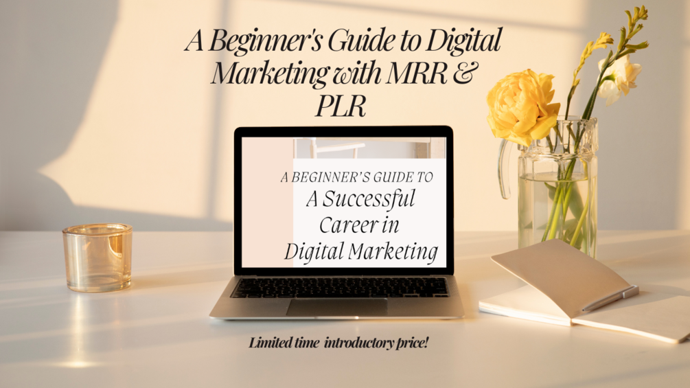 A Beginner's Guide to Digital Marketing with MRR & PLR | Master Resell ...