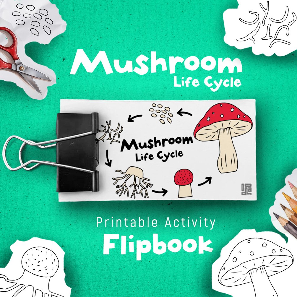 Animated Mushroom Life Cycle Flipbook