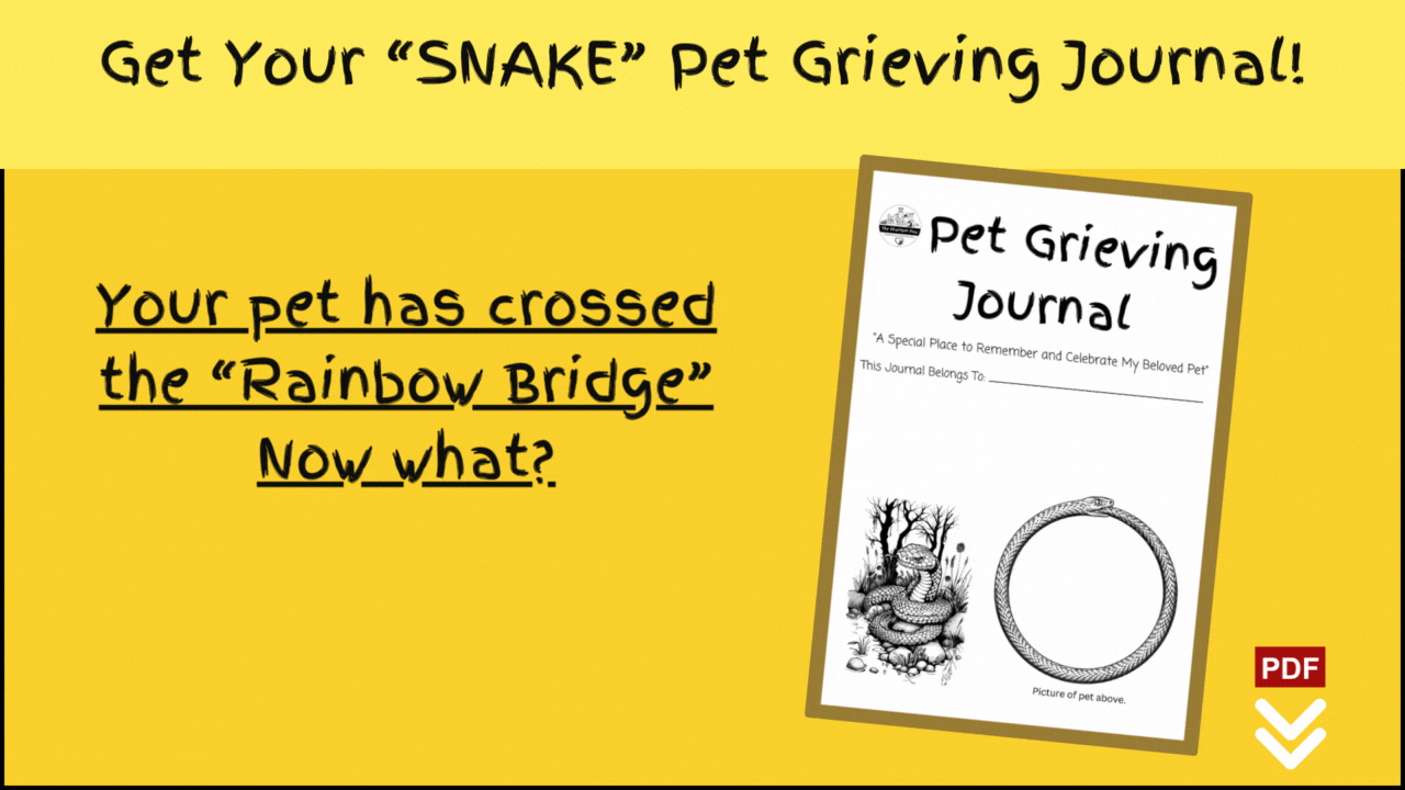 Pet Grieving JOURNAL for SNAKES