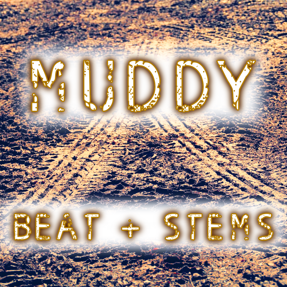 MUDDY || 102 BPM || BEAT + STEMS