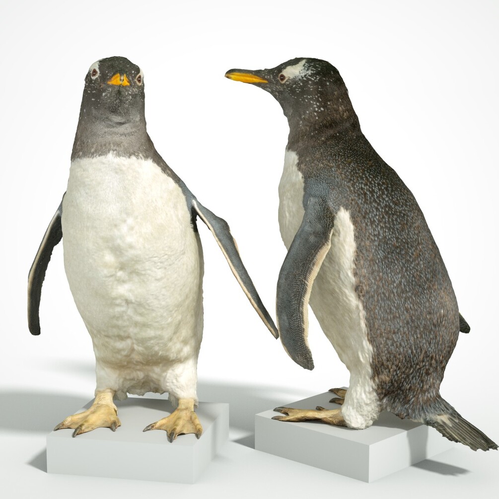 26 Highly Realistic 3D Scanned Museum Animal Models