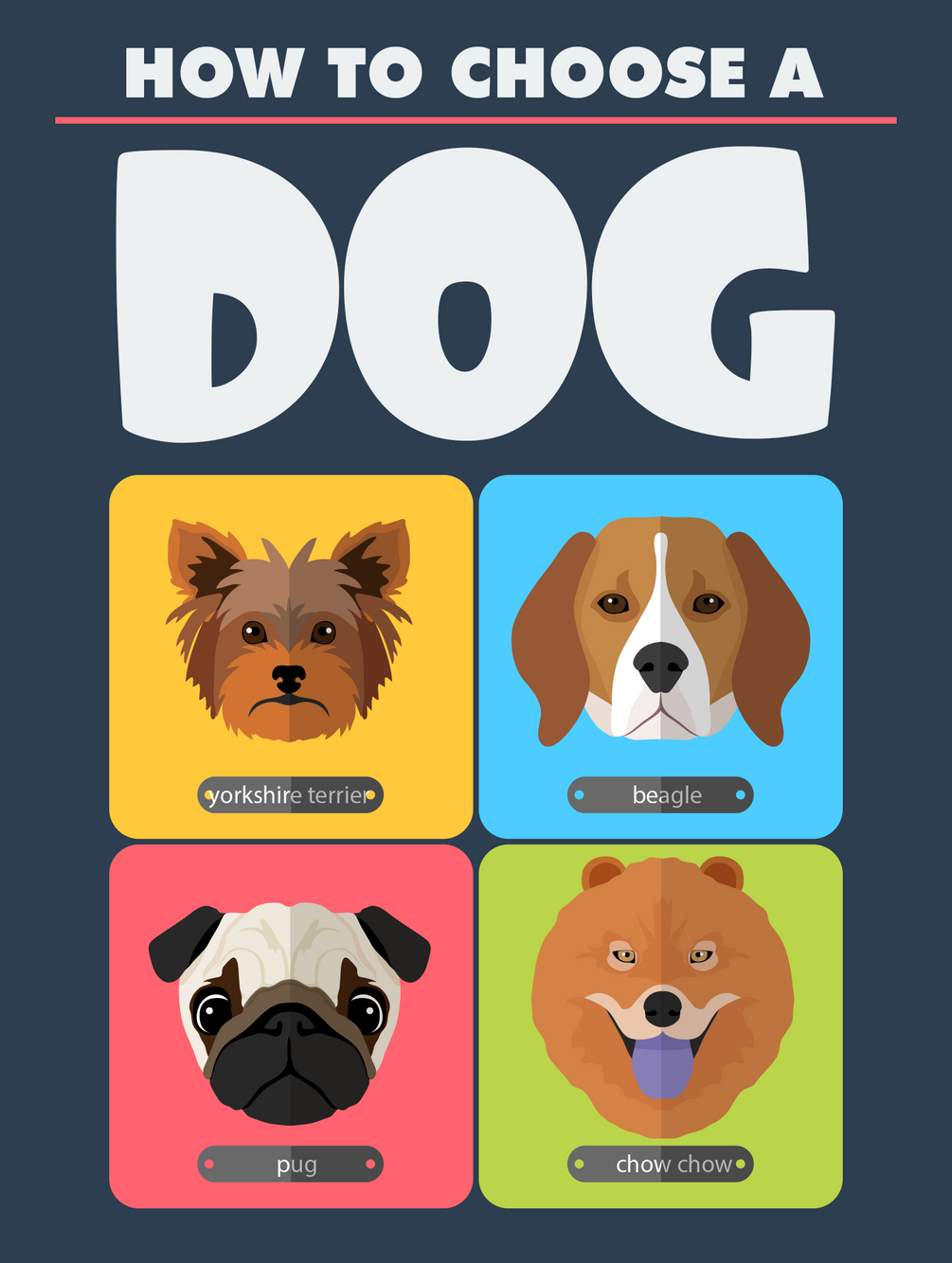 Choose A Dog