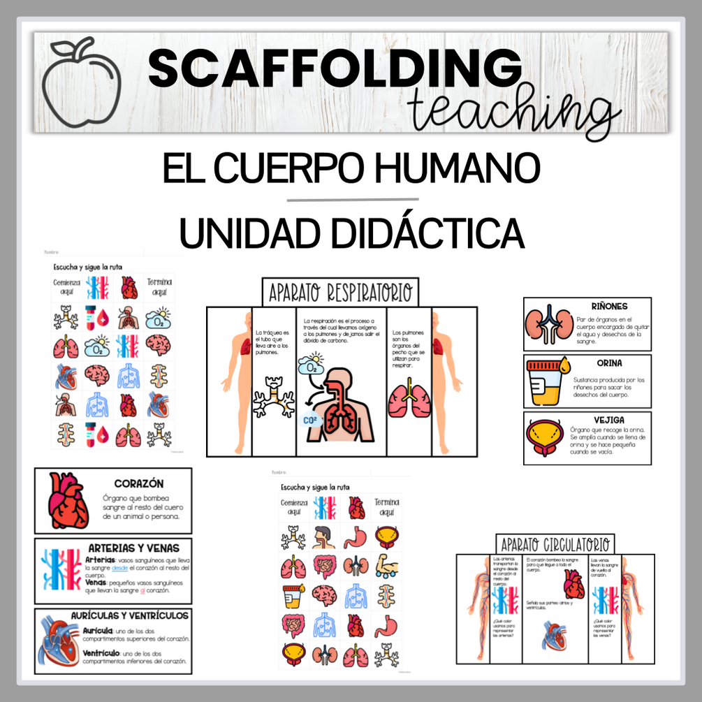 EL CUERPO HUMANO - UNIDAD DIDÁCTICA