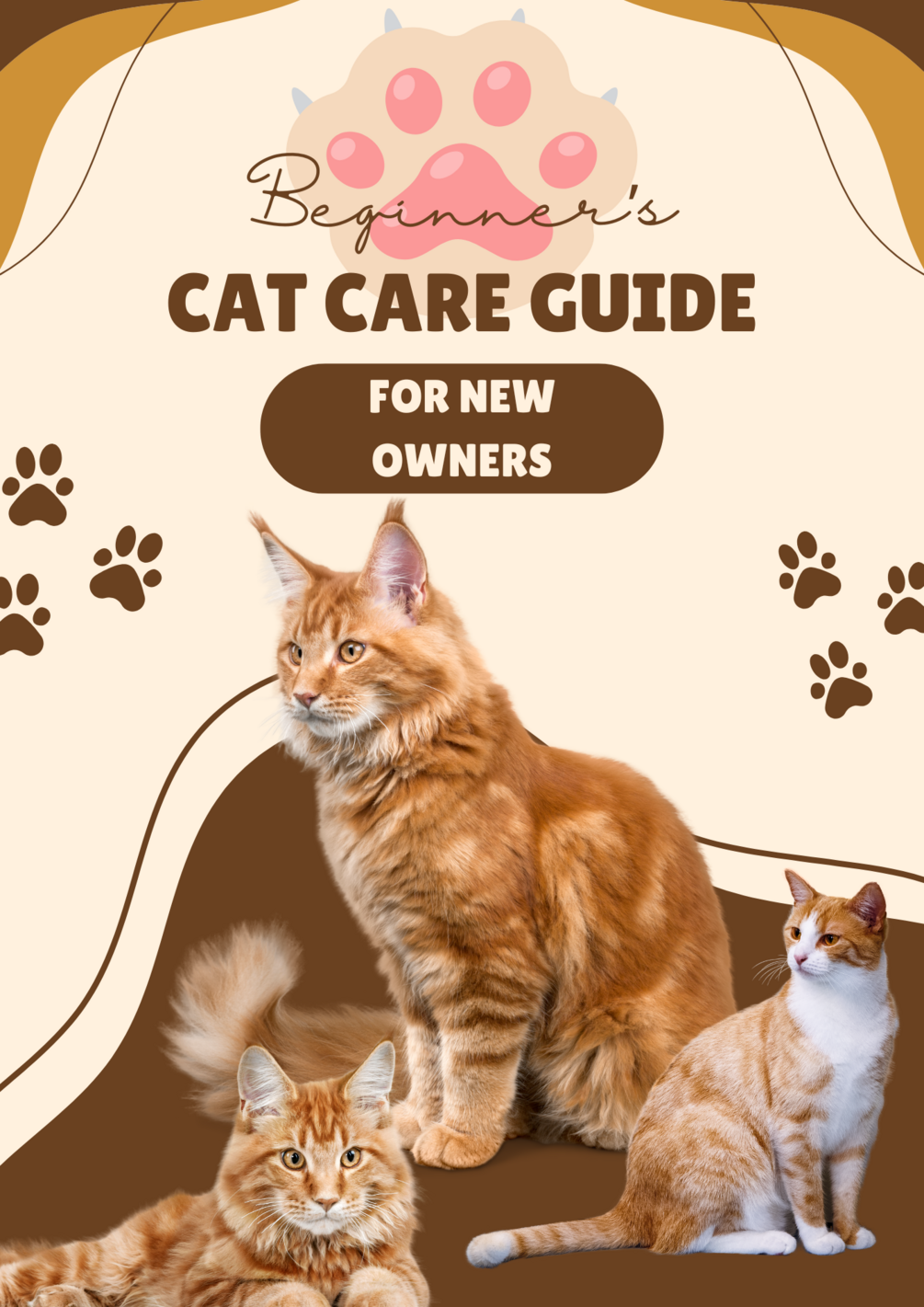 Beginner's Cat Care Guide for New Owners