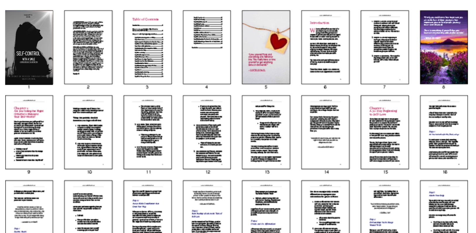 SELF-CONTROL BUNDLE: The Secret Of Success