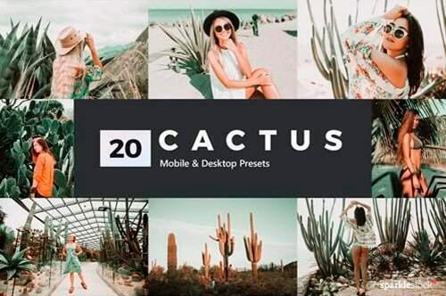 20 CACTUS