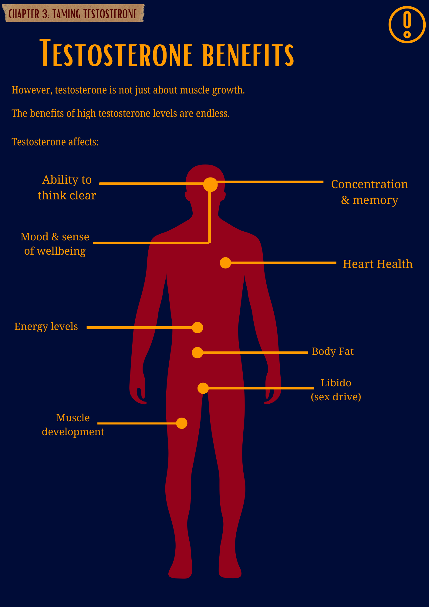 From ZERO to HERO-The Ultimate Guide To Increase Testosterone Naturally ...