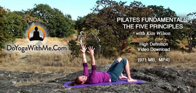 Pilates Fundamentals: The 5 Principles HD