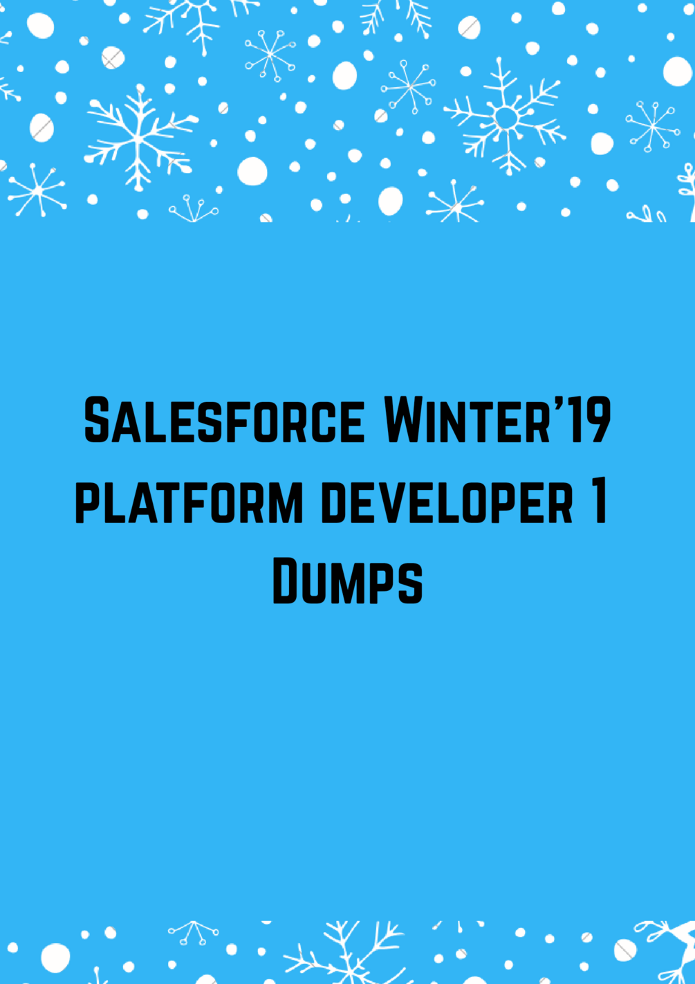 Platform developer 1 win19 (Screenshot version)