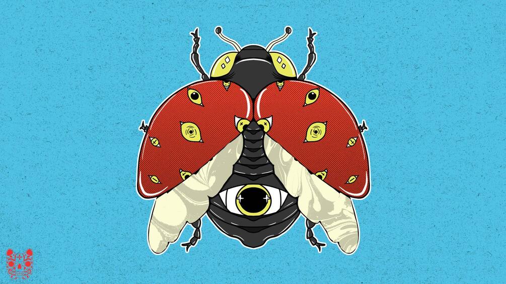 Wallpaper de Catarina (Ladybug Wallpaper)