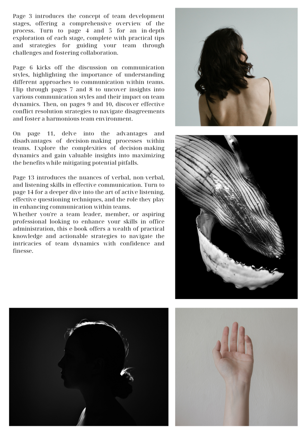 Efficient Office: The Ultimate Guide to Streamlined Administration