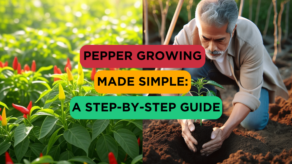 Pepper Growing Made Simple: A Step-by-Step Guide