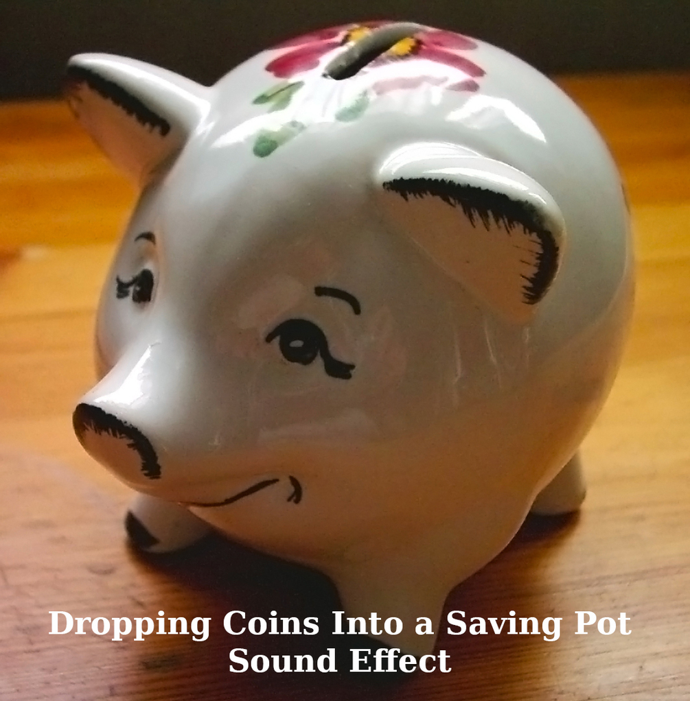 Dropping Coins Into a Saving Pot - Sound Effect-mp3/320 kbps-wav/1411 kbps