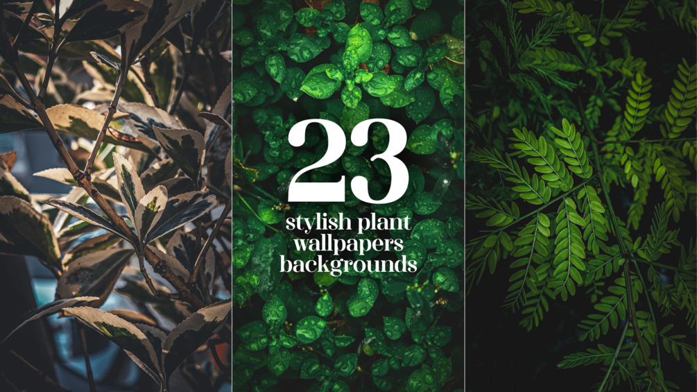 Stylish nature and botanical wallpaper backgrounds set