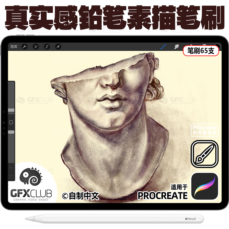 procreate铅笔素描笔刷65款 ipad手绘模拟素描铅笔炭笔绘画纹理笔