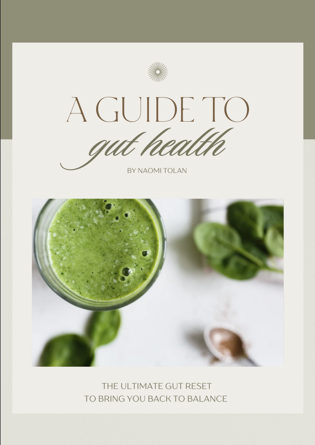 🌿 The Gut Health Reset Guide: Your Step-by-Step Plan to Heal Your Gut ...