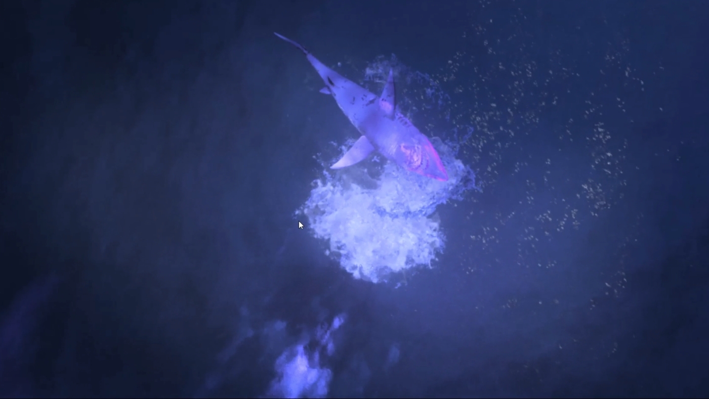 Houdini Magic Shark Water Solution rendering project hip file