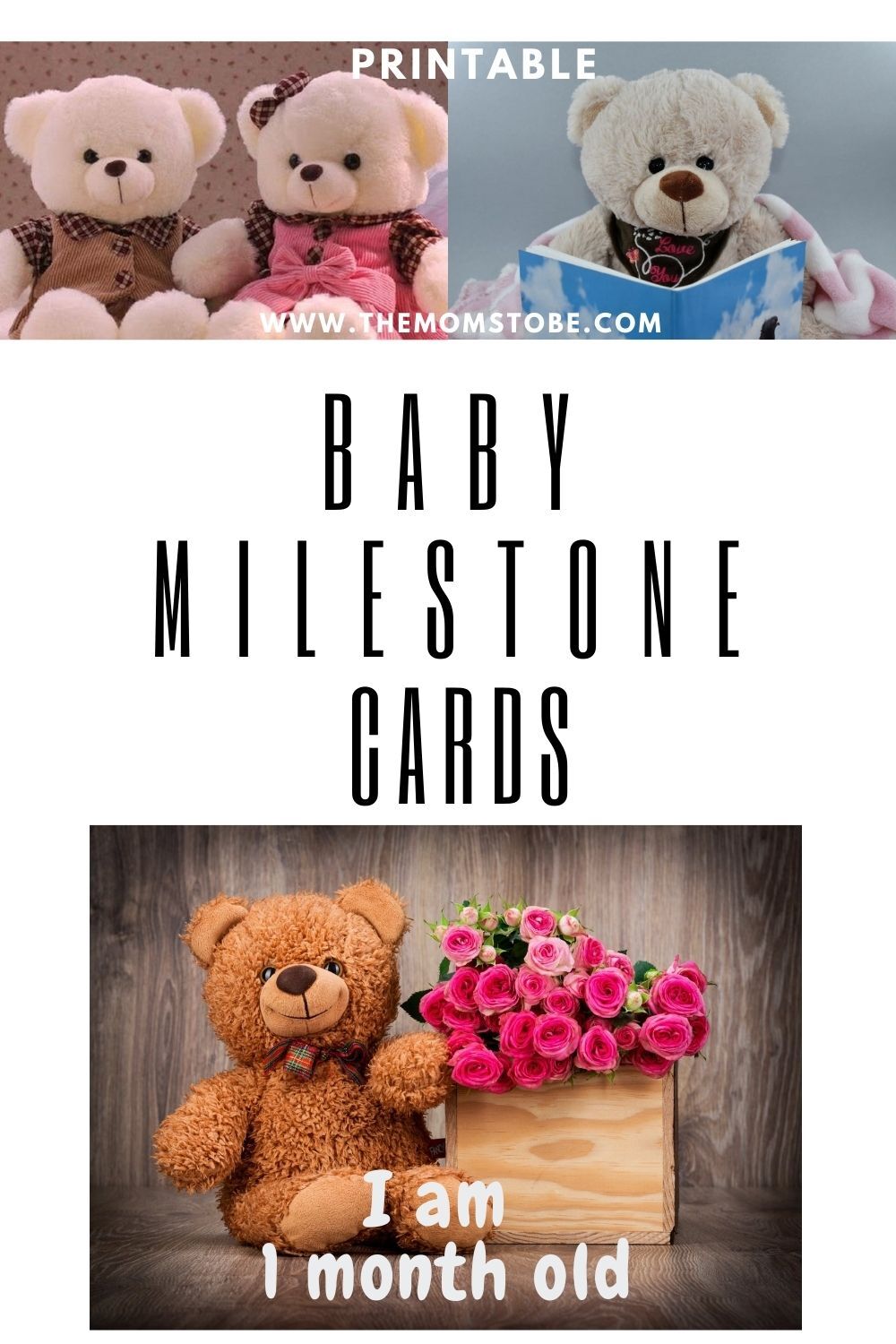 Cute Bears Baby Milestones Cards